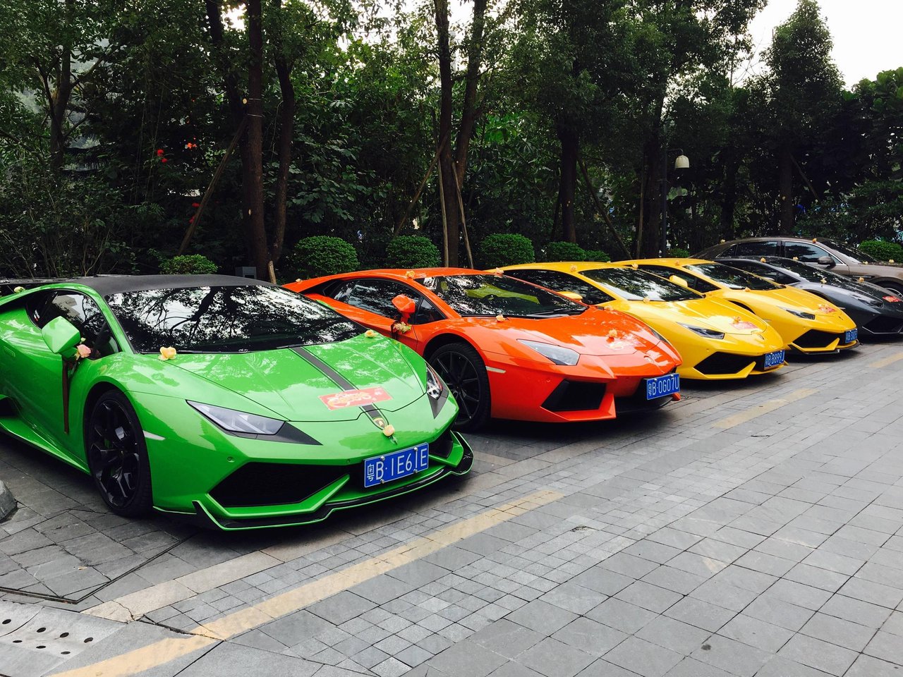 Multi-Coloured Lamborghini's line up in a row like a bunch of Skittles ...