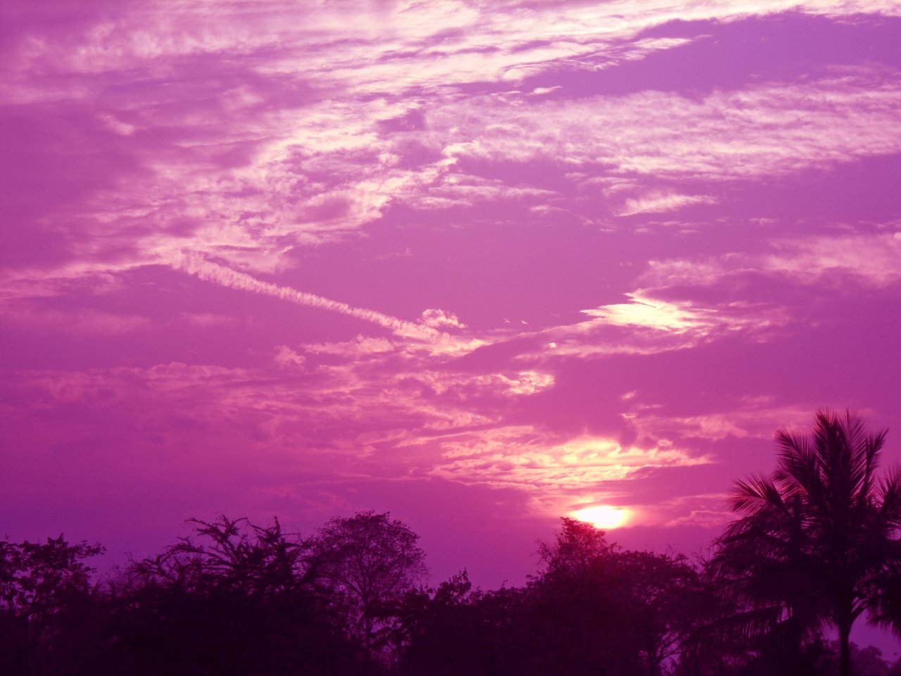 beauty beholds in the eye of the beholder #03 [dusky twilight]