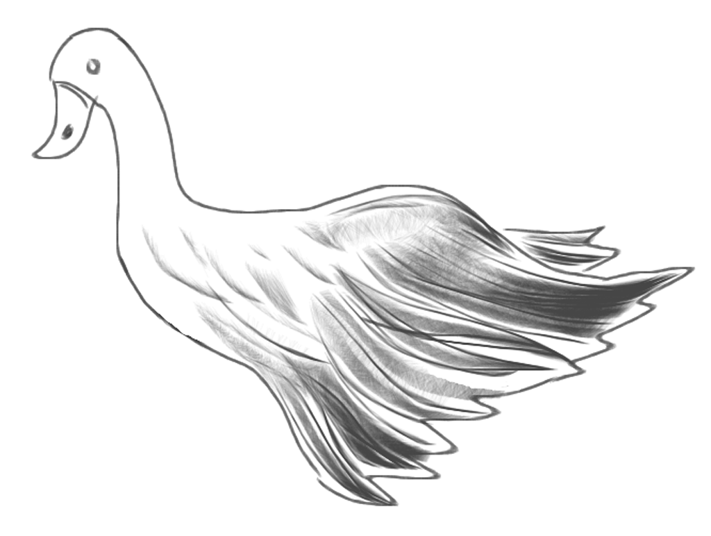 Daily Fast Pencil Sketch - "Wild Goose"