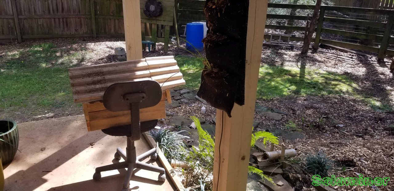 March Bee update / New webcam link