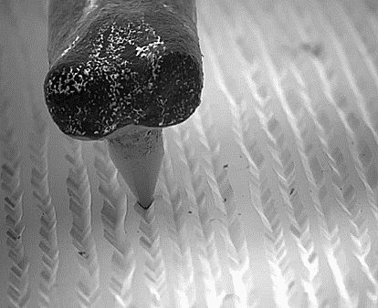 Everyday Objects Under A Microscope (gifs and pictures) — Steemit