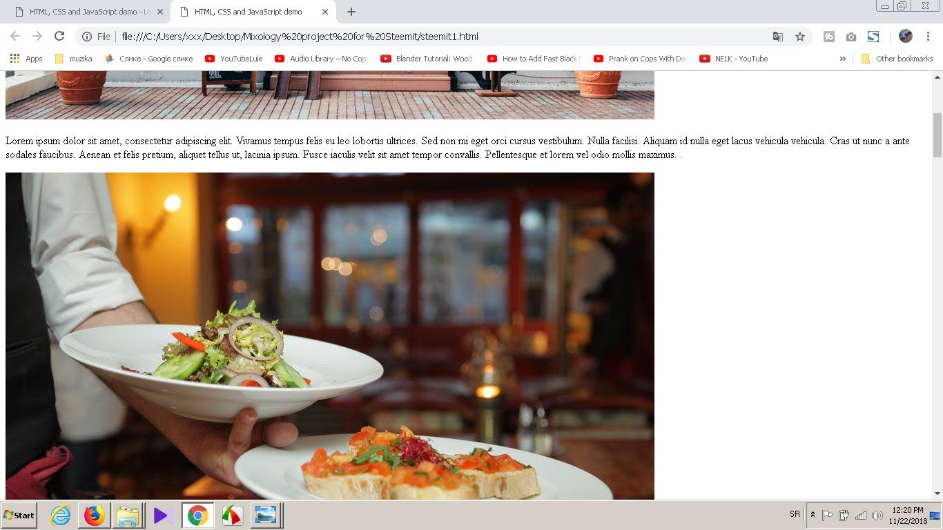 Web Page Layout hand coded from scratch - HTML & CSS