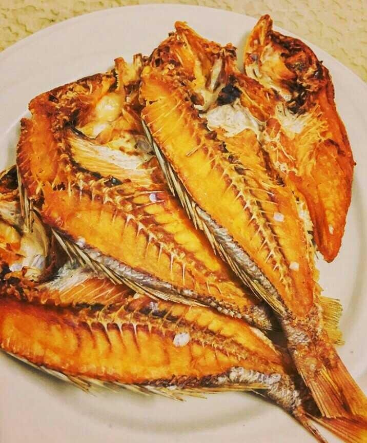 PAGKALAMI SA ISDANG BULAD — Steemit