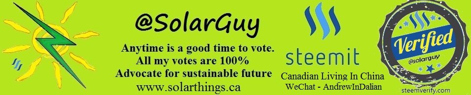 Bio Fuels For Carbon Capture Using Algae