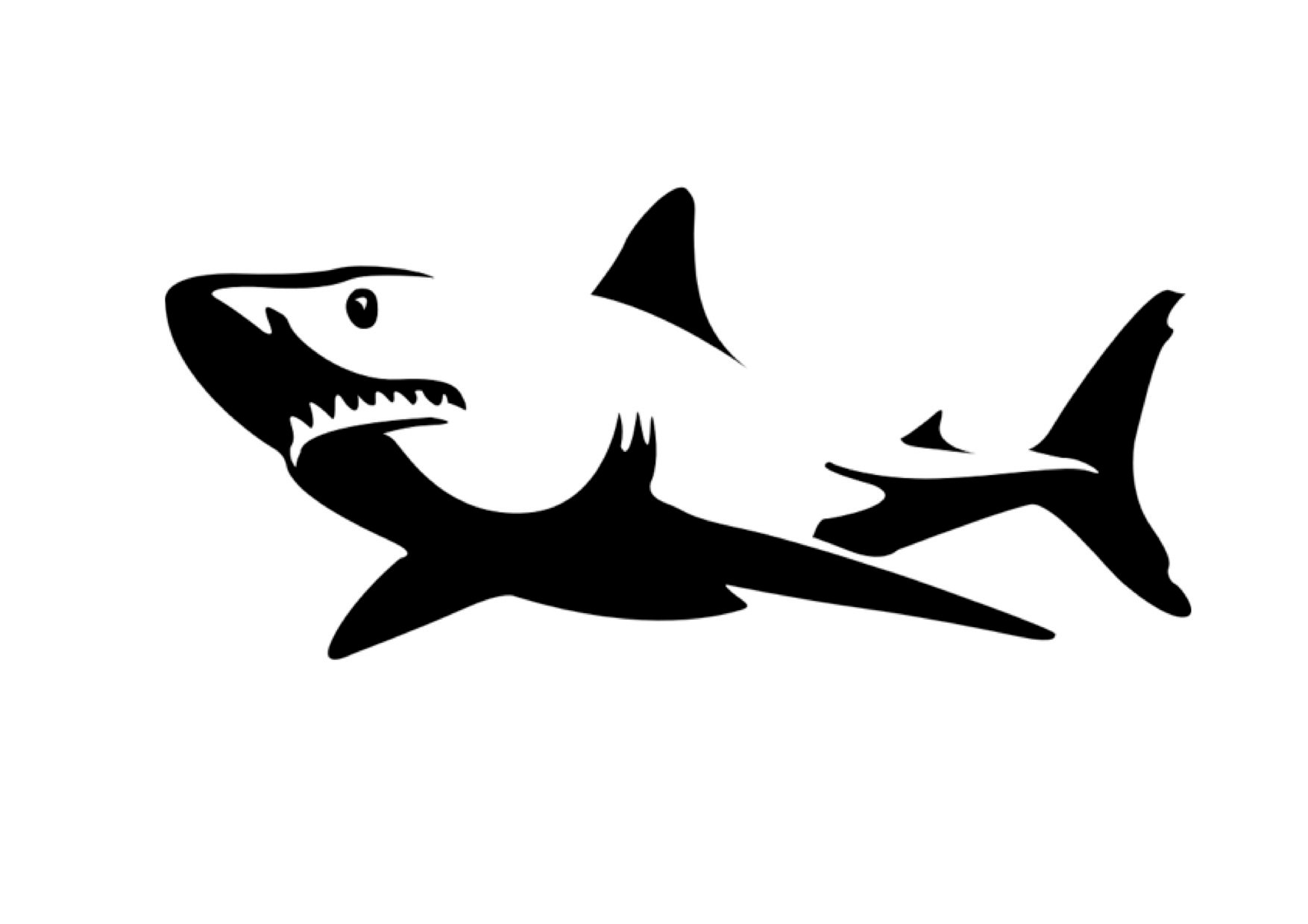 How sharks' body shape influences their locomotion — Steemit