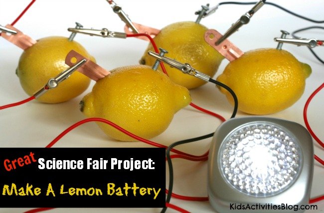 Lemon Light Bulb Science Fair Project Intermediate Students Shared