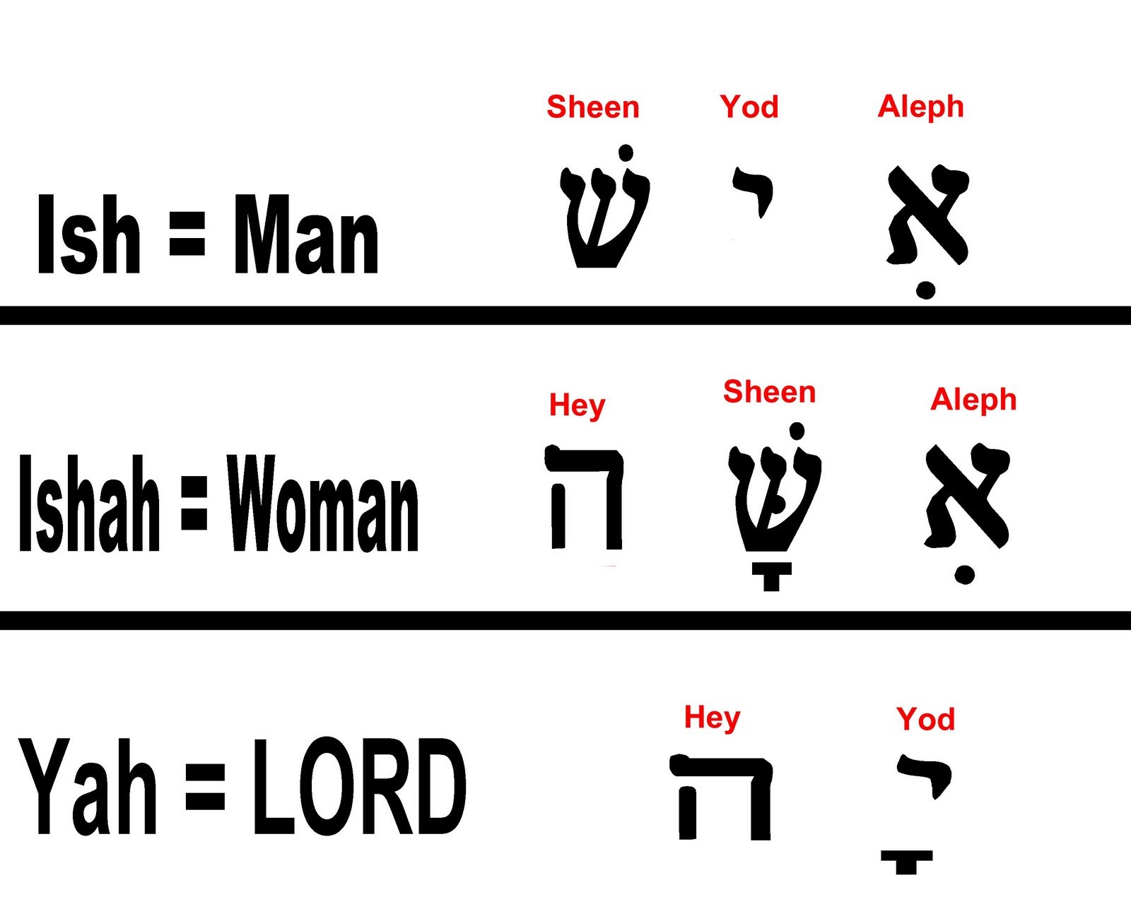 The language of ivrit ( עברית ) Genesis 2, DTube Video #7 — Steemit