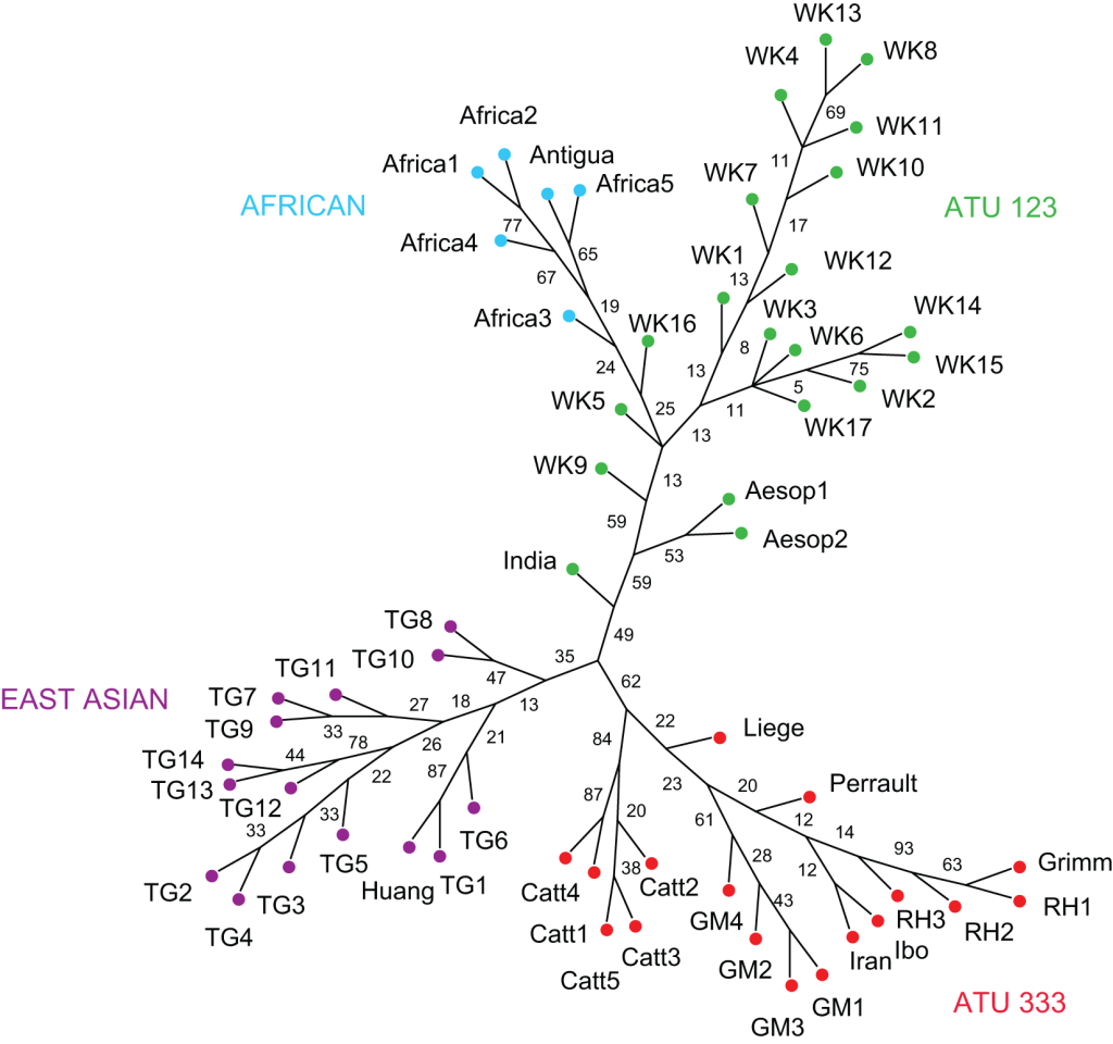 Little Red Riding Hood's phylogenetics - Biology working for litera...