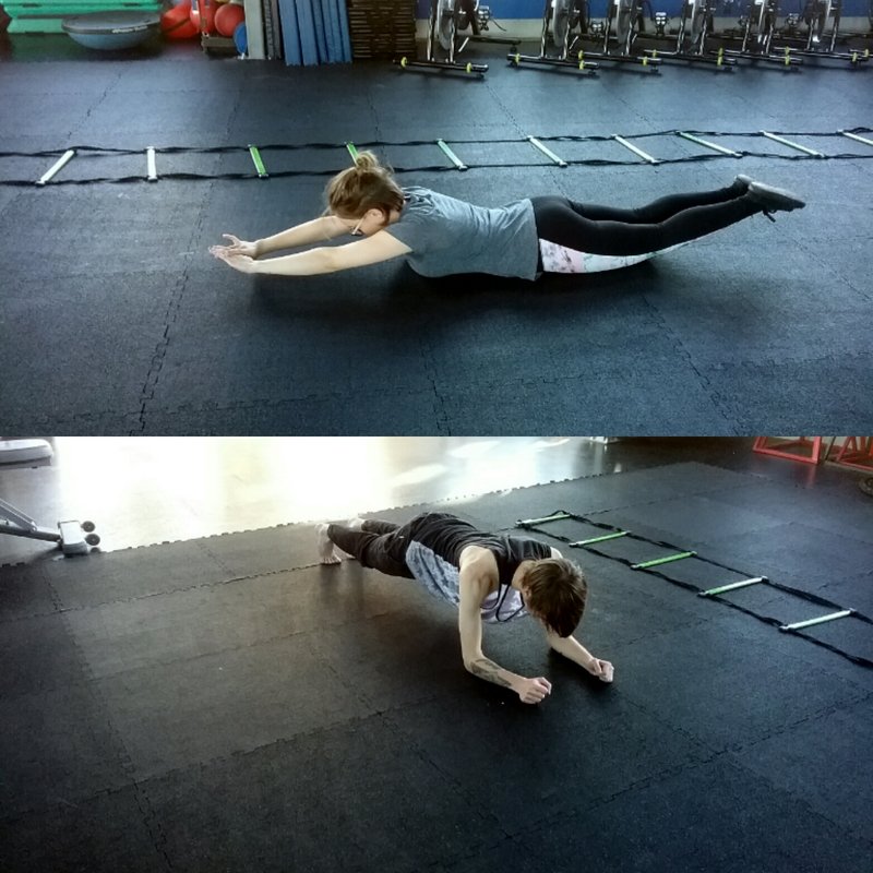 Beginner Circuit & Stretch