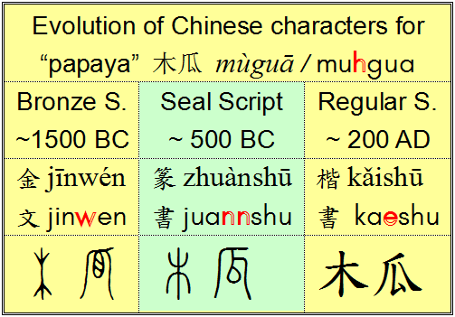 Papaya (mùguā / muhgua) in Chinese literally means “tree melon”