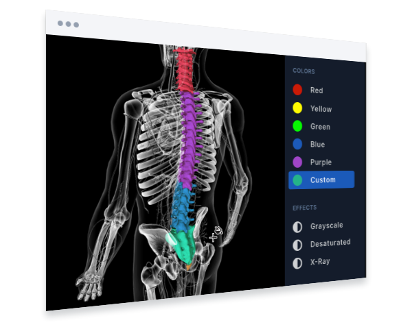 3D Human Studio - Explore the human body in interactive 3D | Steemhunt