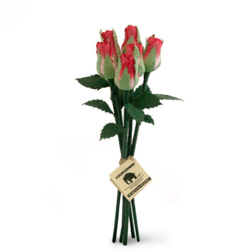 POOPOOPAPER - Recycled Paper Products Made From Poop | Steemhunt