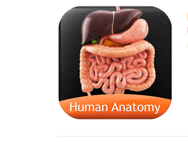 Human Anatomy Explorer - Learn & Explore the Digestive System with 3D ...