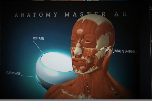 Anatomy Master AR - Human anatomy in augmented reality | Steemhunt