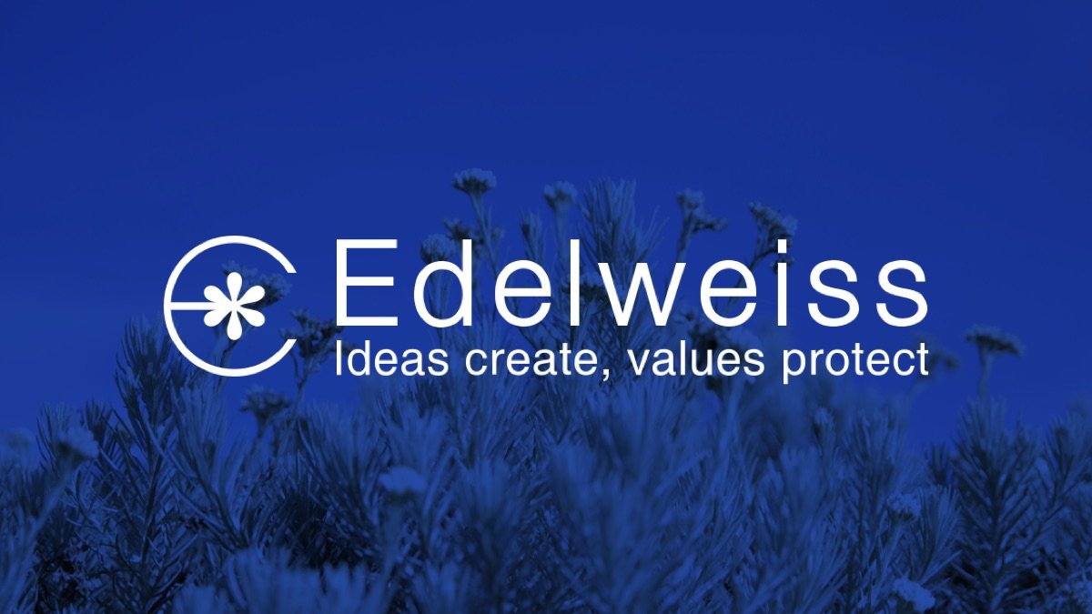 Edelweiss Review 2020 - Simple and Savvy Trading Service | Steemhunt