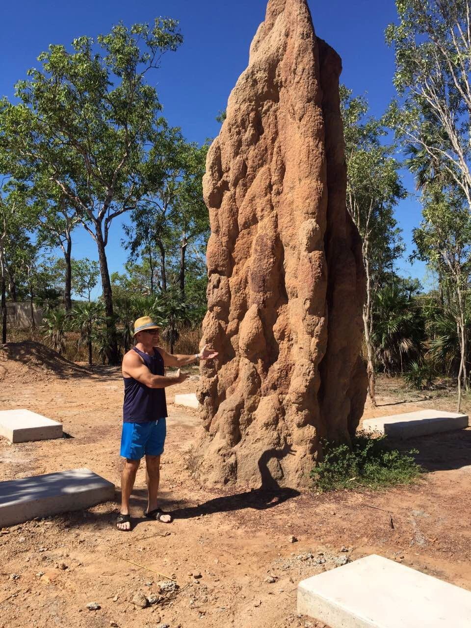 Largest Ant Colony On Earth - The Earth Images Revimage.Org