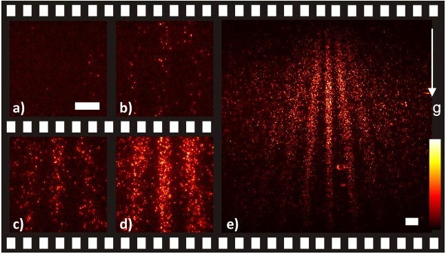 The Double-Slit Experiment in the Infinite Universe