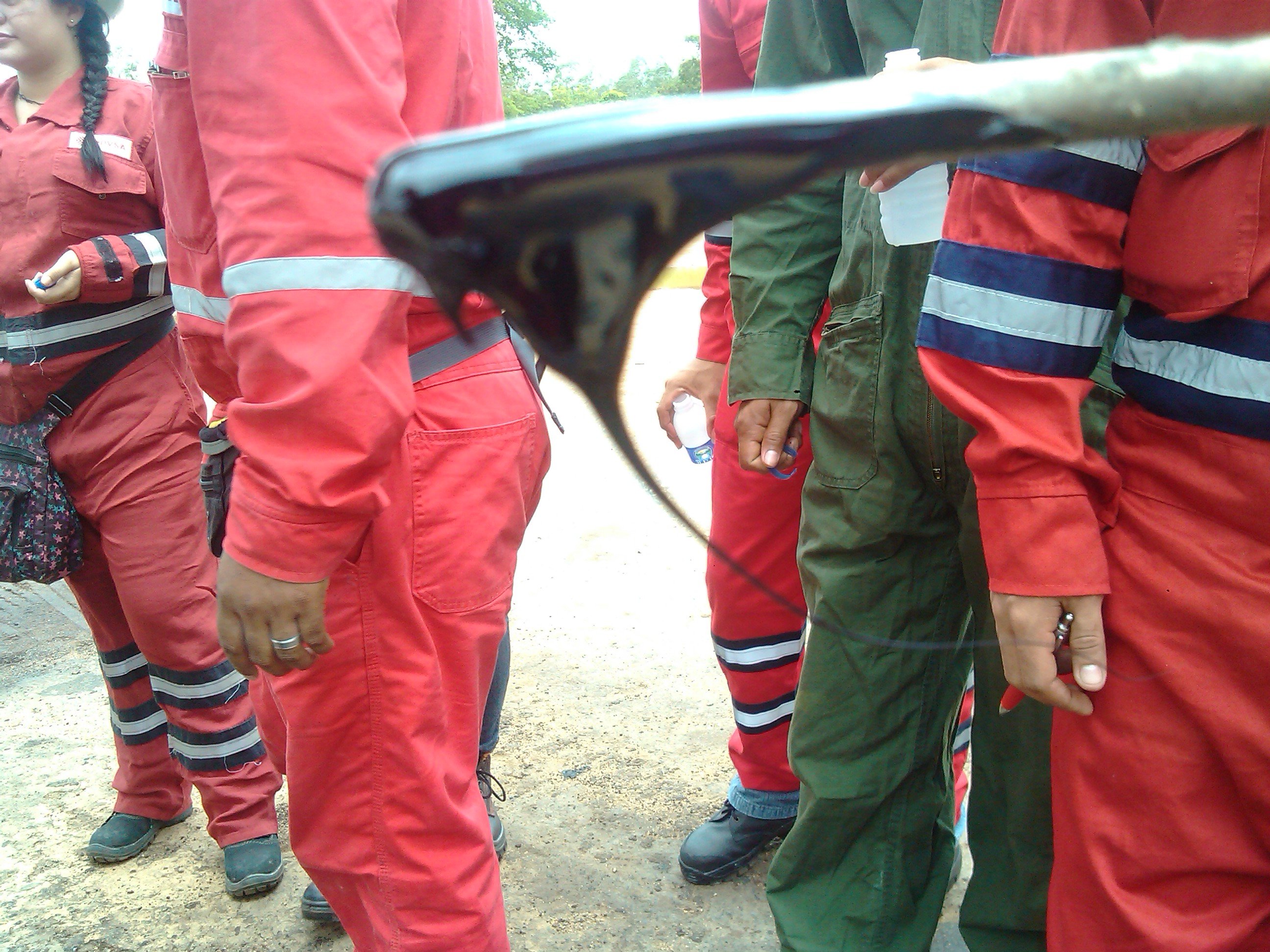 Demostración experimental de la determinación de la gravedad API y ...