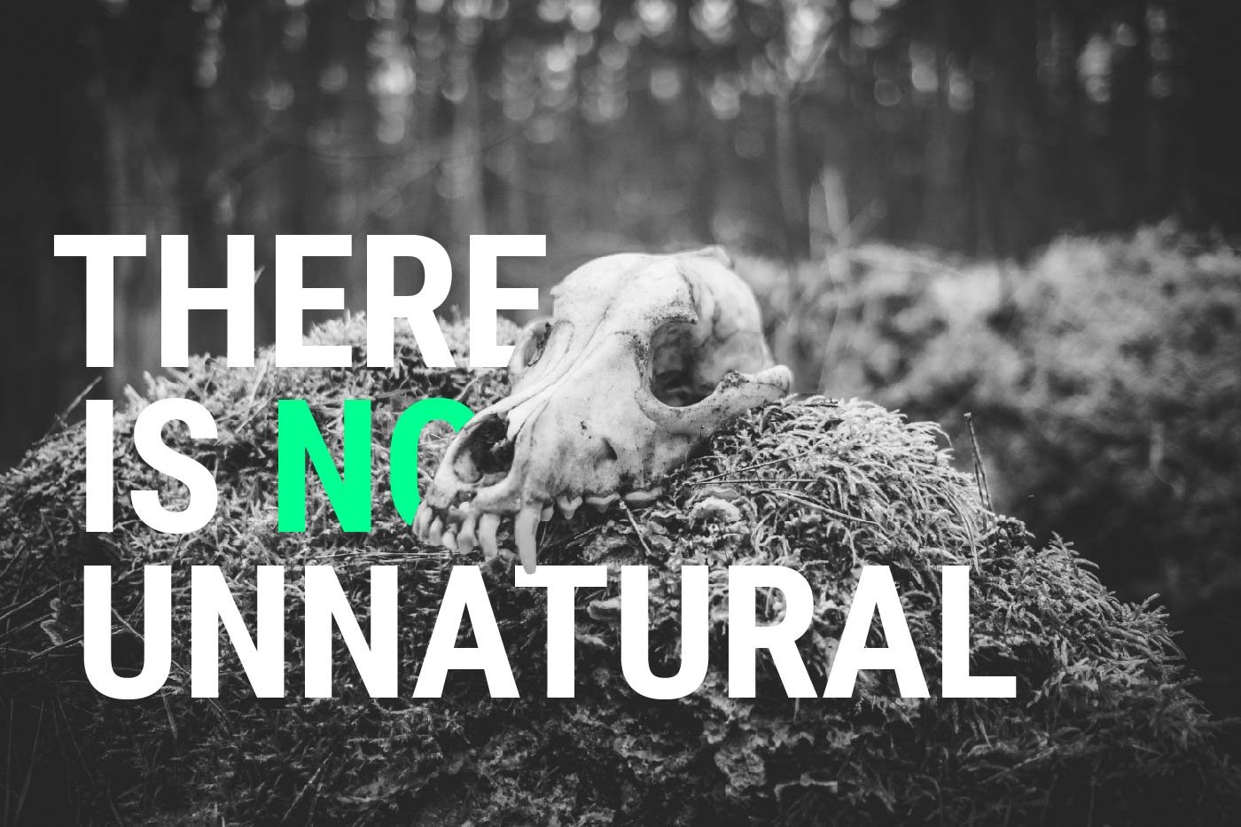 Nature is Brutal ~ a Poem