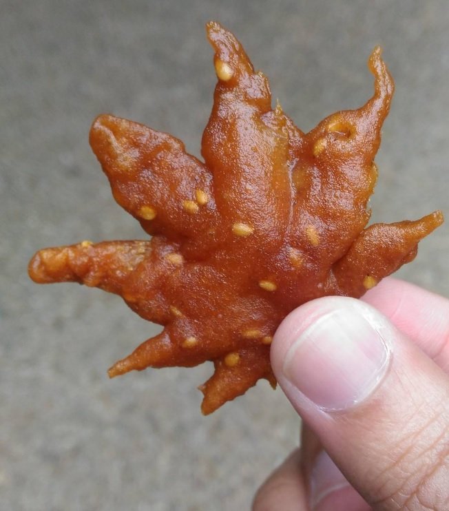 Eating Maple Leaves at Minoh Park and Waterfall – planewithwayne