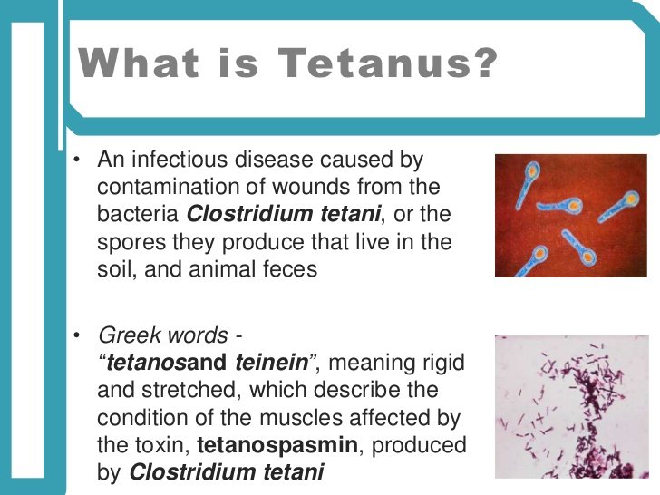 Childhood Diseases – On a Mission to Educate: Tetanus