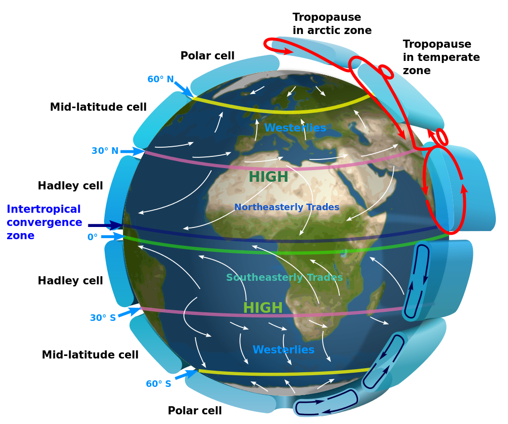 How does the Coriolis force determine the spin of a cyclone?