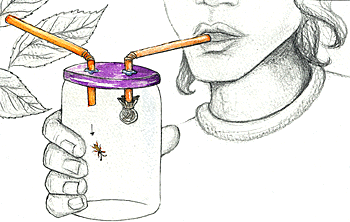 You little naturalist, you! Part 3 — Steemit