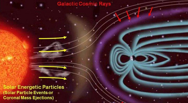 Magnetoreception – Can birds sense the geomagnetic field?