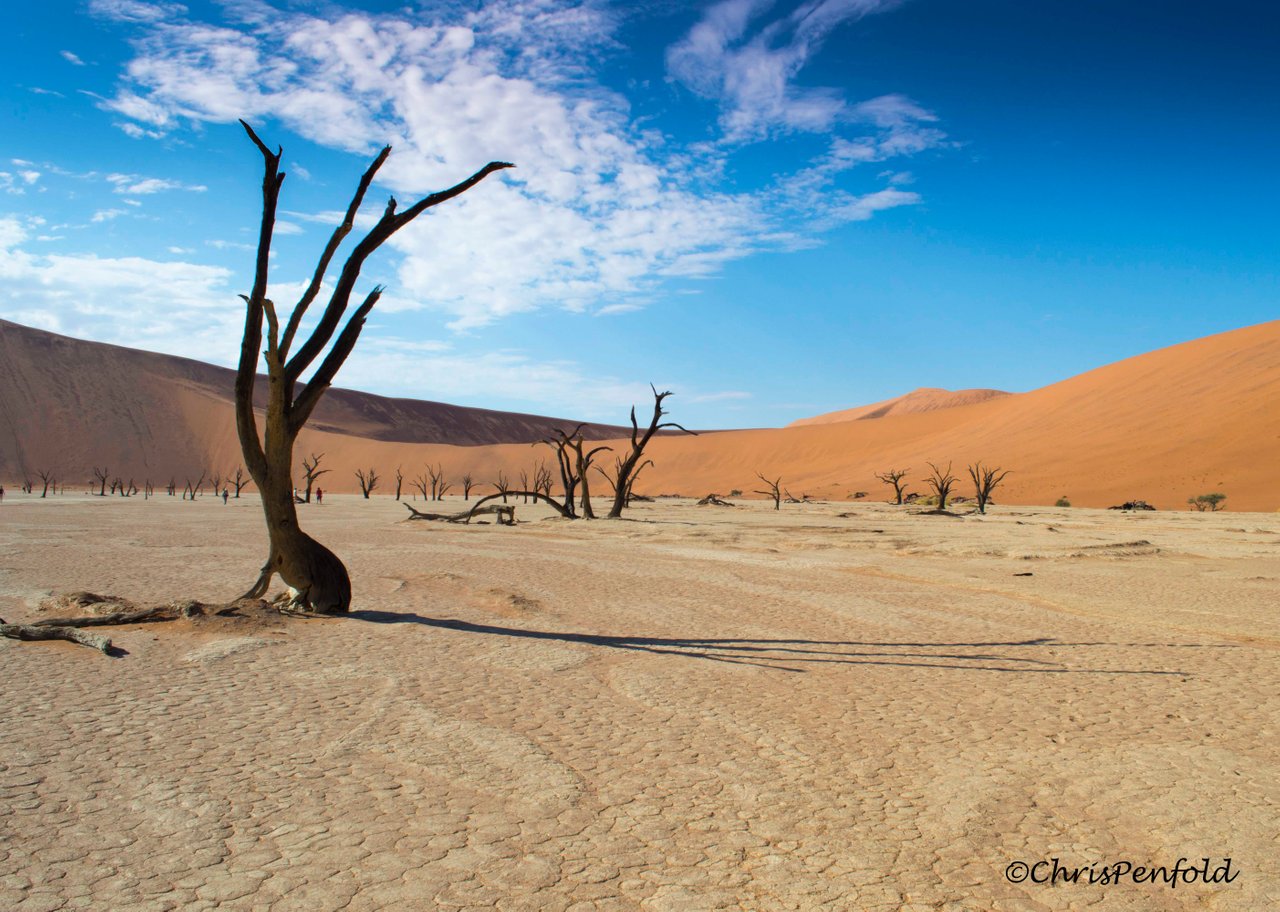 Deadvlei, Namibia — Steemit