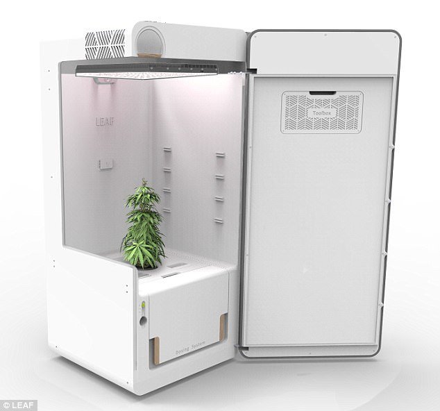 Seedo - An automatic hydroponic growing machine | Steemhunt