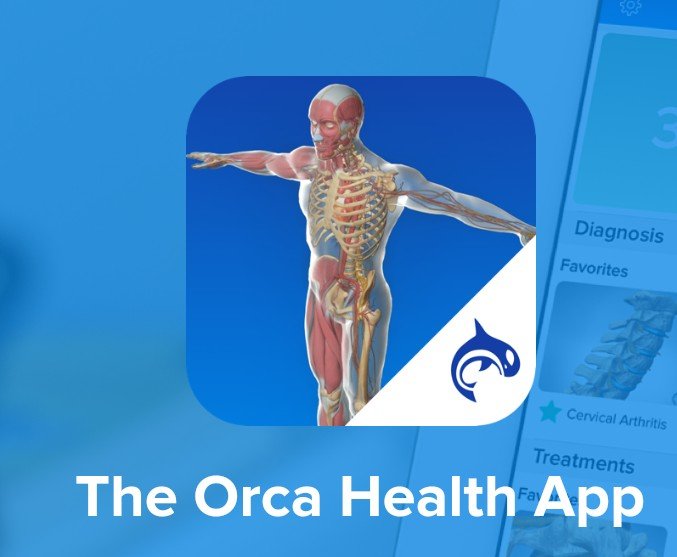 Orca Health App - View Human Anatomy in 3D Augmented Reality Models ...