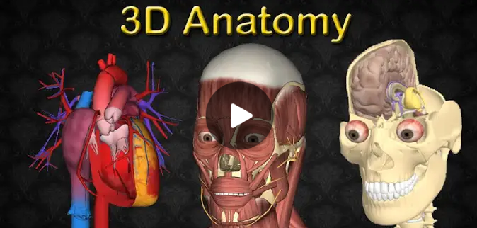 3D Anatomy - Get a very Immersive tour of the human anatomy | Steemhunt