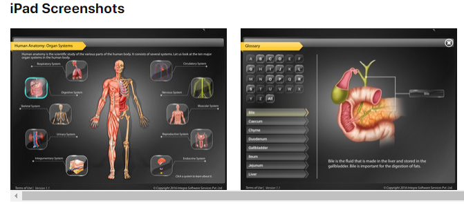 Human Anatomy Explorer - Learn & Explore the Digestive System with 3D Animations. | Steemhunt