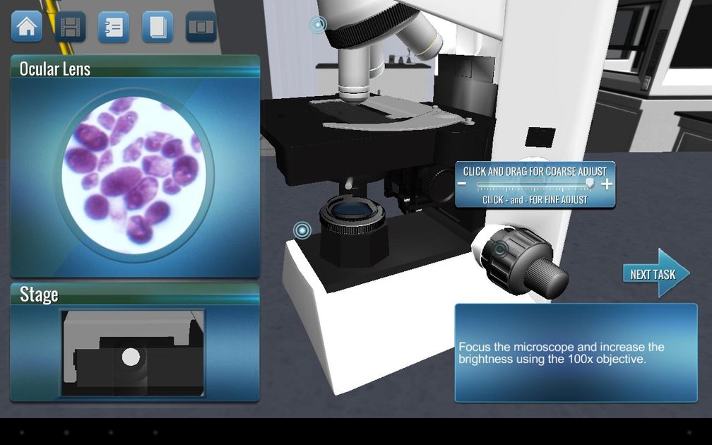 BioNetwork - Fully Interactive 3D Virtual Science lab with Real-Time ...