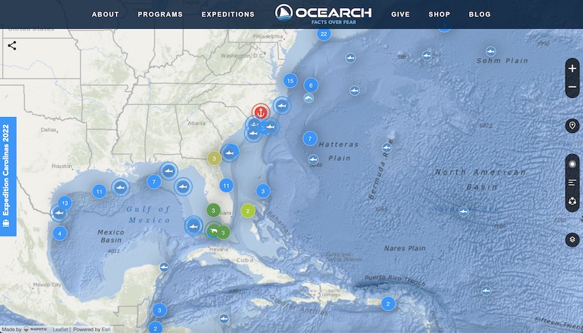 Ocearch - Track sharks around the world | Steemhunt