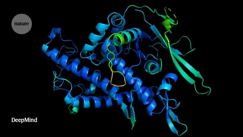 AlphaFold - Protein Structure Database | Steemhunt