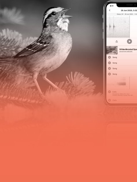Sparrow - DeepMind Chinchilla trained AI chatbot | Steemhunt Sparrow - DeepMind Chinchilla trained AI chatbot | Steemhunt