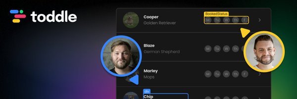 Toddle - Build professional web apps with no code and no limits | Steemhunt