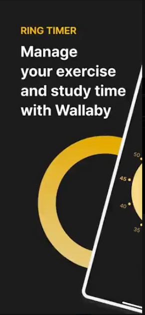 Ring Timer - Simple Pomodoro & interval timer to boost your focus ...