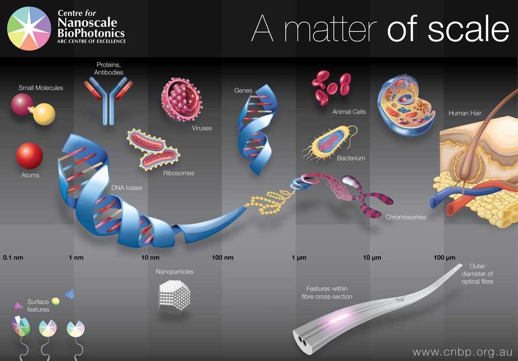 Nanoscience: Life at nano scale — Steemit