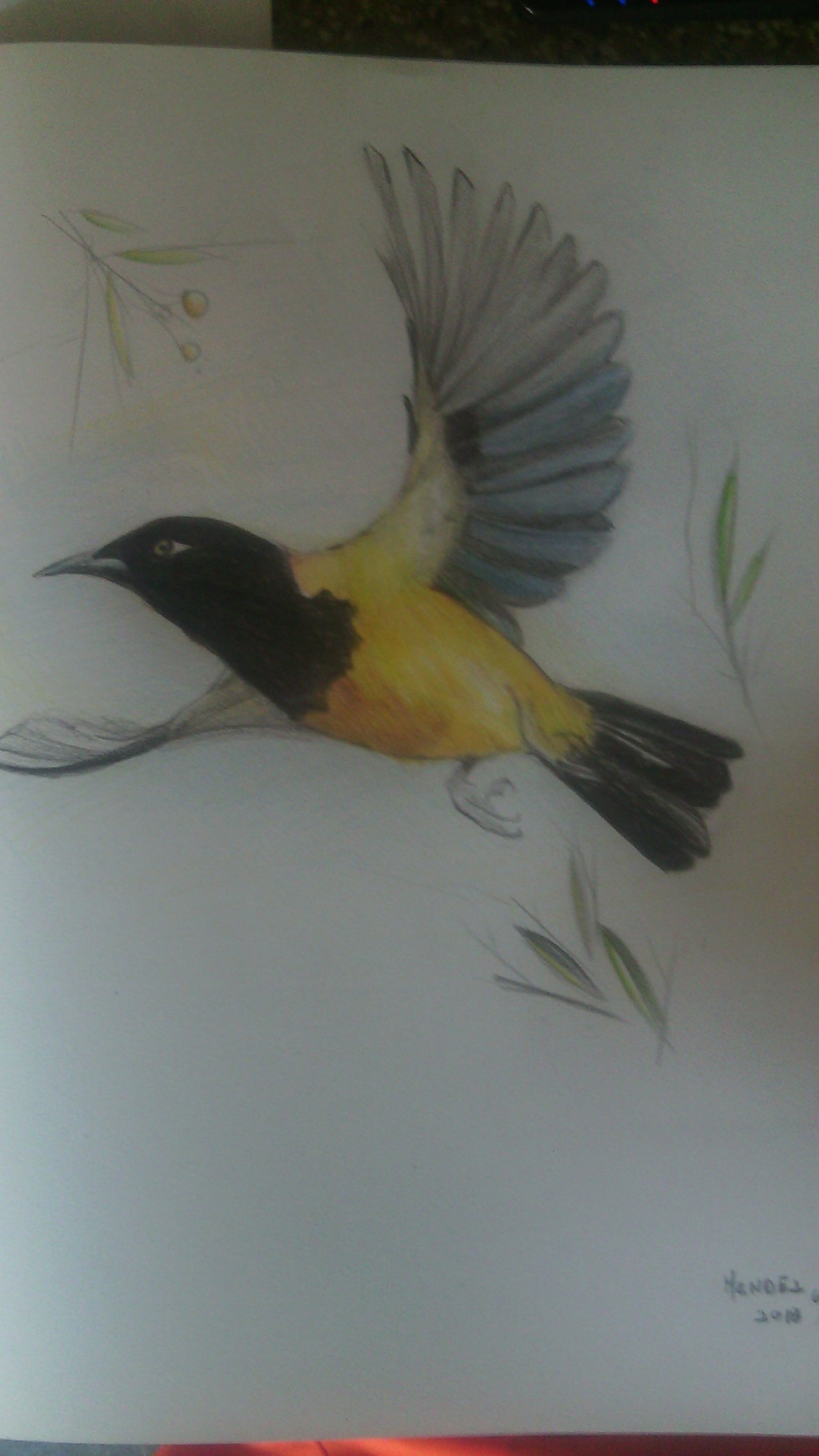 TURPIAL (PASO A PASO) — Steemit