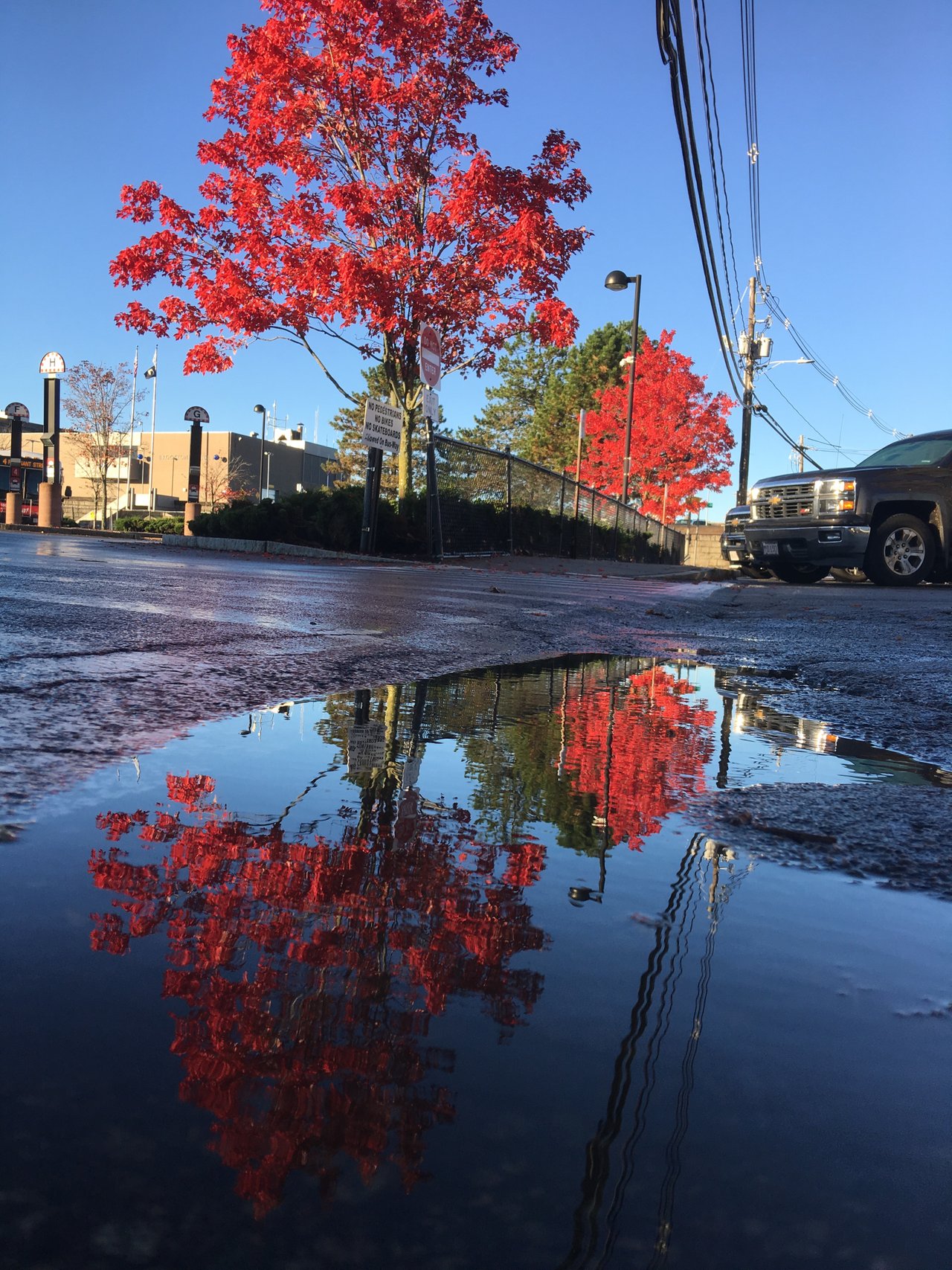 Photography: Options When Taking Reflection Shots — Steemit