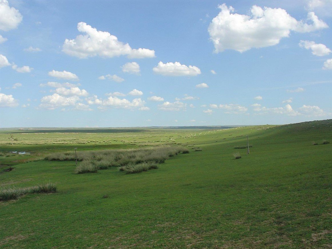 A Great Steppe for the Mongol Empire — Steemit