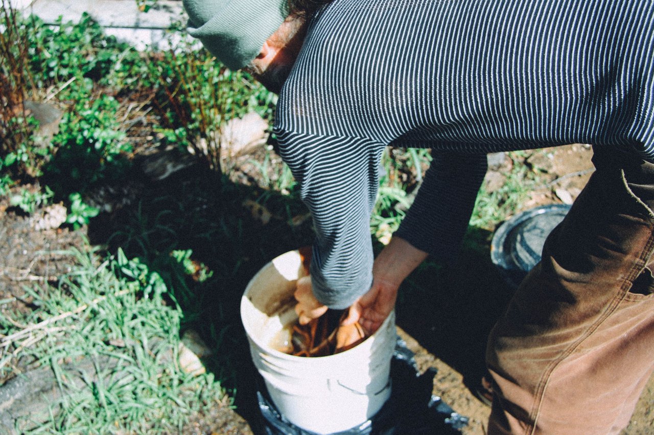 DIY Bark Tanning Leather Naturally. — Steemit