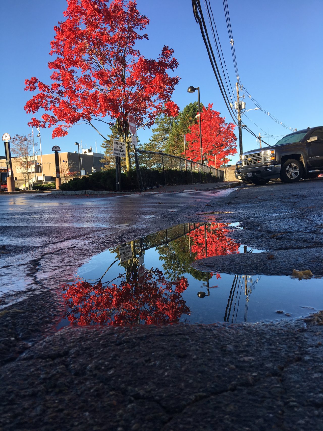 Photography: Options When Taking Reflection Shots — Steemit