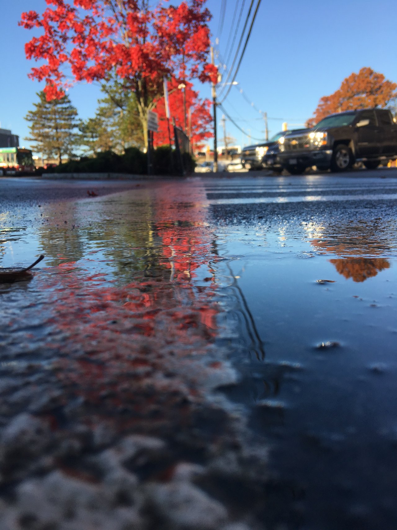 Photography: Options When Taking Reflection Shots — Steemit