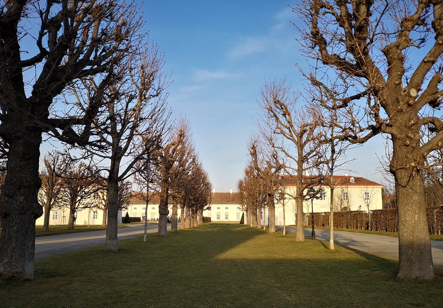 Der Augarten in Wien // The Augarten Park in Vienna — Steemit