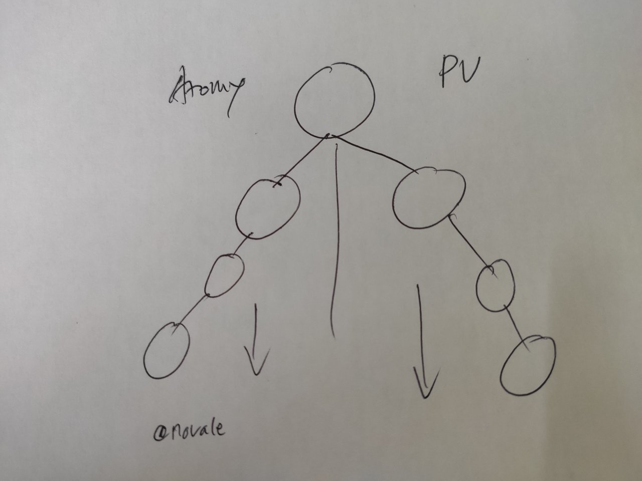 [ATOMY-P1] Perhitungan Bonus Atomy — Steemit
