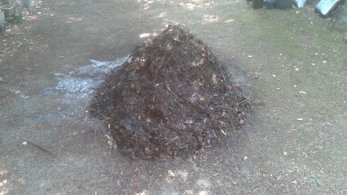 Compost Humor: Recycled Jokes [Humor] — Steemit