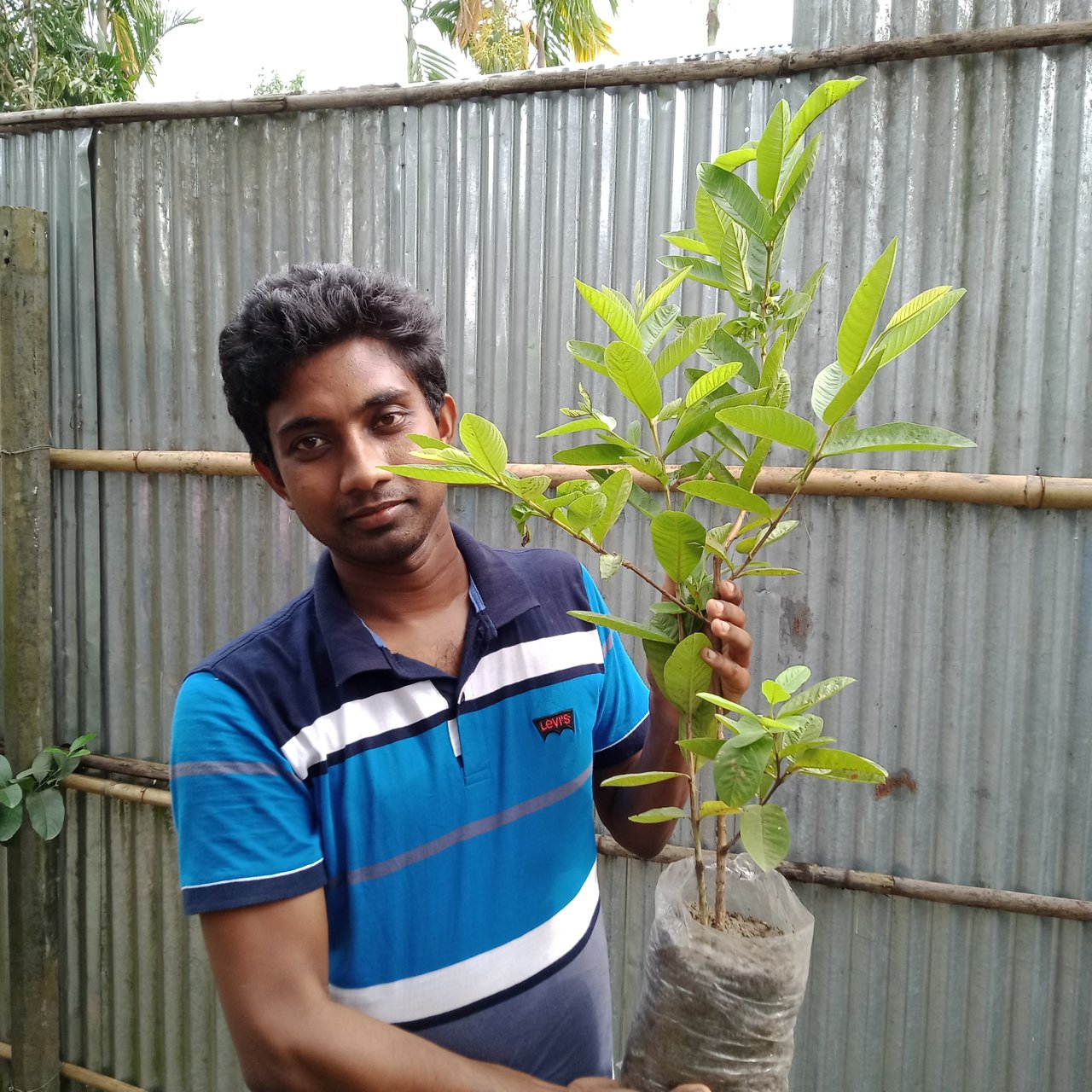 CONTEST: 🌲Planting trees saves the environment🌲 TREE PLANTING ...